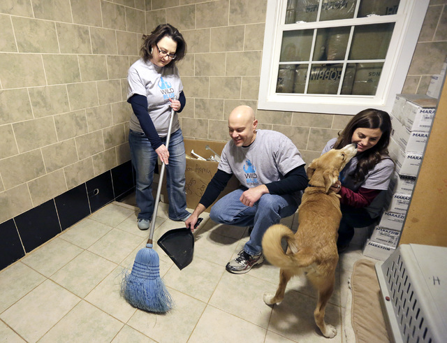 Leadership Wilkes-Barre project grooms Blue Chip animals | Dallas Post