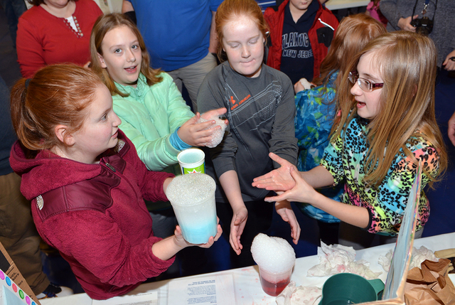 Dallas Elementary School Parent-Teacher Organization hosts annual ...