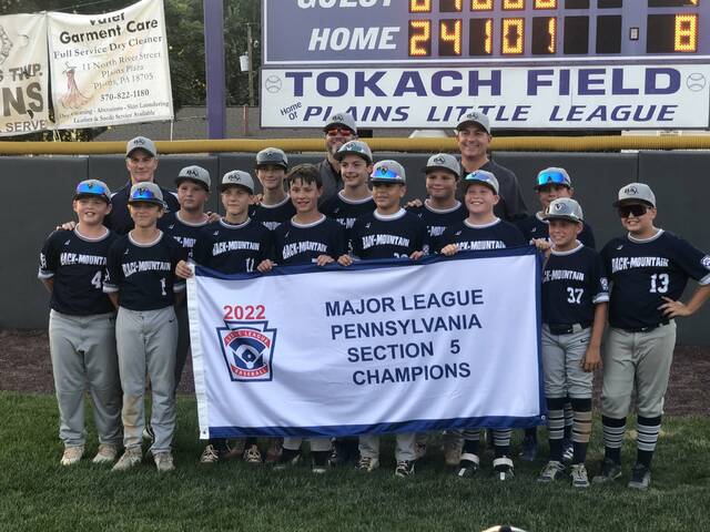 Little League: Back Mountain National wins Section 5 title by defeating ...